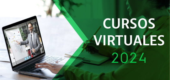 AULA VIRTUAL: Todos los cursos